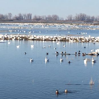 MERCED NATIONAL WILDLIFE REFUGE - Updated December 2025 - 119 Photos ...