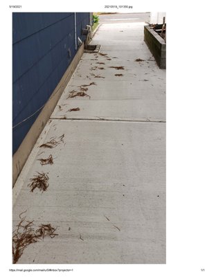 MASONE MASONRY - Updated November 2025 - 29 Photos & 14 Reviews ...