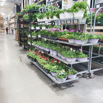 MENARDS - Updated December 2025 - 81 Photos & 77 Reviews - 715 Fort ...