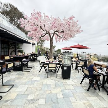 SAKE HOUSE MALIBU - Updated October 2025 - 75 Photos & 29 Reviews ...