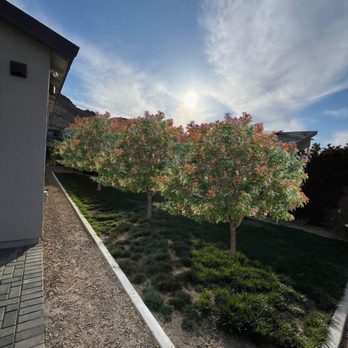 MOON VALLEY NURSERIES - Updated December 2025 - 547 Photos & 531 ...