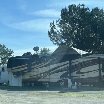 BONELLI BLUFFS RV RESORT & CAMPGROUND - Updated June 2024 - 531 Photos ...