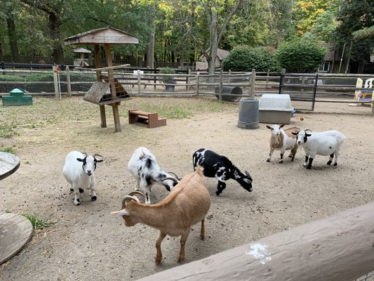 THE ZOO IN FOREST PARK & EDUCATION CENTER - Updated August 2025 - 52 ...