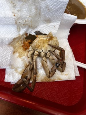 NUTTIN BETTA - Updated July 2024 - 75 Photos & 38 Reviews - 5514 Walzem ...