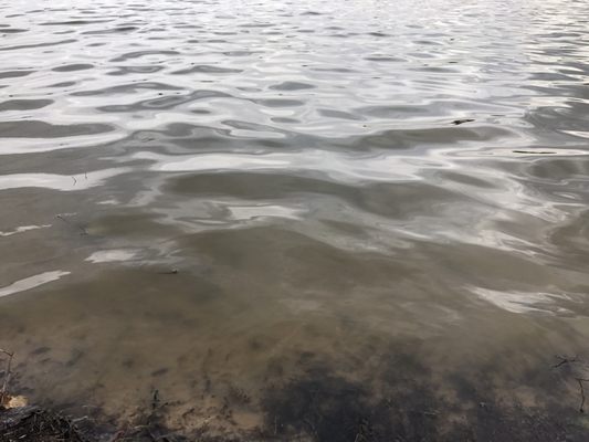 MAXEY PARK - Parks - 2401 Quaker Ave, Lubbock, TX - Yelp