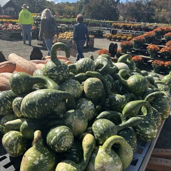 SECOR FARMS - Updated October 2025 - 256 Photos & 83 Reviews - 168 ...