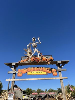 ROCA BERRY FARM - Updated December 2025 - 47 Photos & 18 Reviews ...