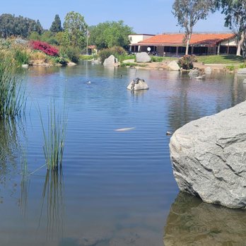 WEBB PARK - Updated December 2025 - 147 Photos & 44 Reviews - Avena Pl ...