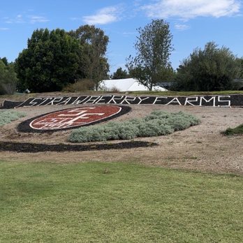 STRAWBERRY FARMS GOLF CLUB - Updated March 2025 - 366 Photos & 365 ...