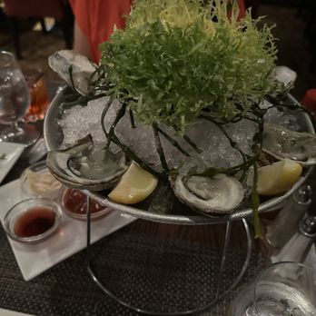 OLD HOMESTEAD STEAK HOUSE - Updated September 2024 - 1181 Photos & 1363 ...