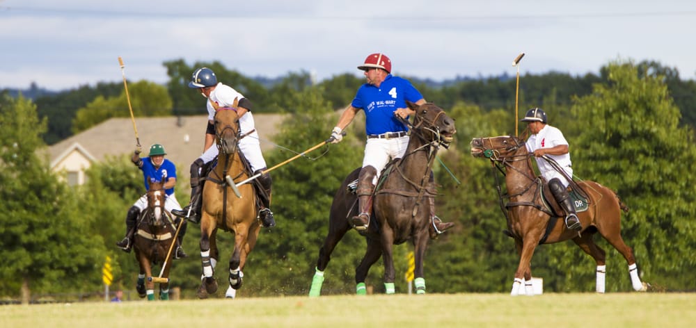 GREG REEVES PHOTOGRAPHY - Updated February 2025 - 12564 Barranger Dr ...