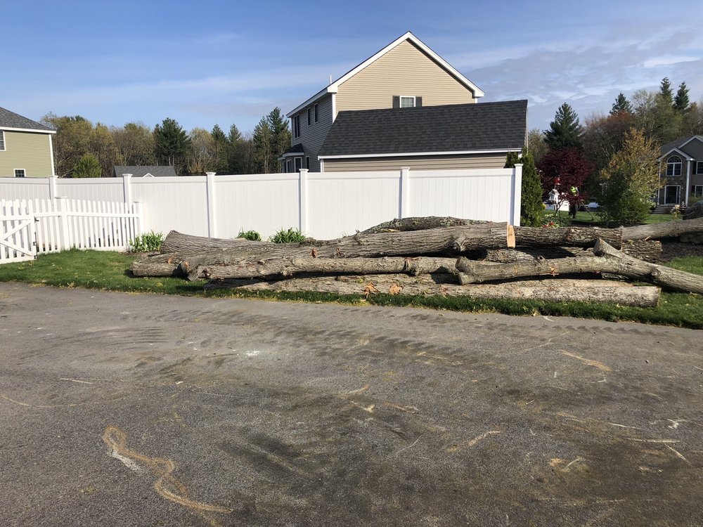 TOMMY TREE SERVICE & YARD EXPANSION - Updated April 2024 - 21 Photos ...