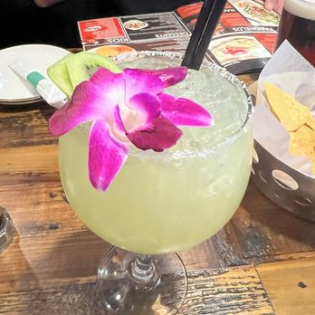 TORO MAMBO COCINA MEXICANA - Updated October 2025 - 47 Photos & 50 ...