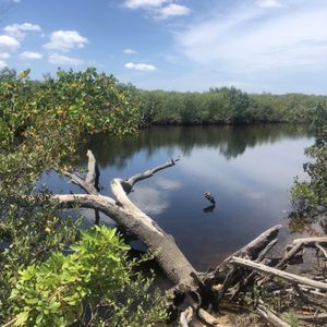 ANCLOTE RIVER PARK - Updated April 2025 - 116 Photos & 14 Reviews ...