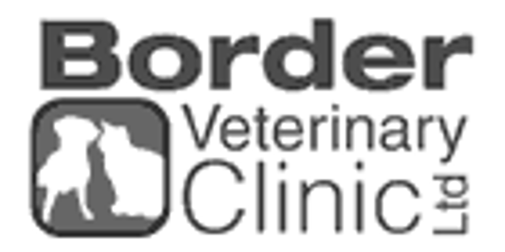 BORDER VETERINARY CLINIC - Updated December 2024 - 40 Wheatland ...