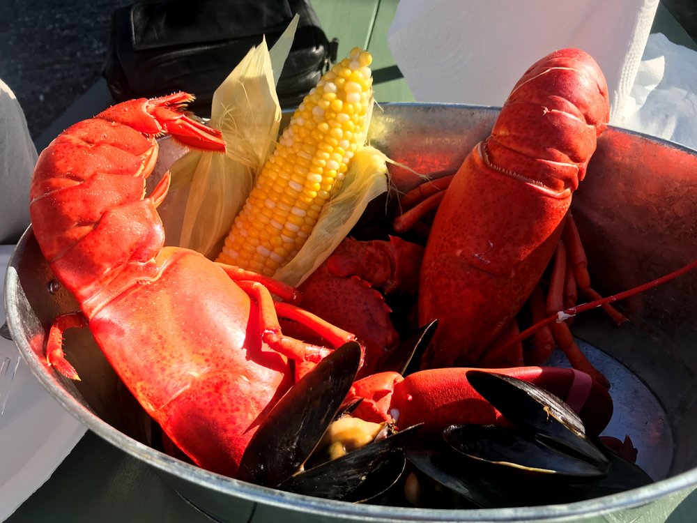 ROSE EDEN LOBSTER - Updated July 2024 - 88 Photos & 99 Reviews - 864 ...