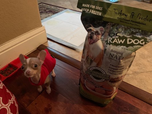 WOOF...COOL STUFF FOR DOGS - Updated August 2025 - 28 Photos & 54 ...