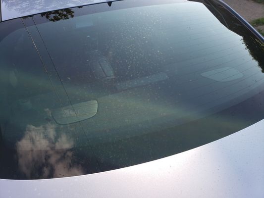 JIM SHORKEY TOYOTA - Updated September 2025 - 25 Photos & 135 Reviews ...