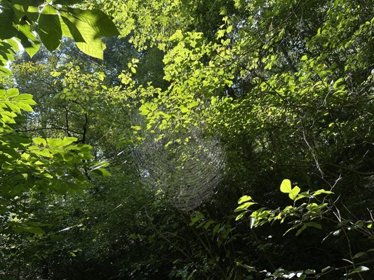 ELACHEE NATURE SCIENCE CENTER - Updated October 2025 - 68 Photos & 15 ...