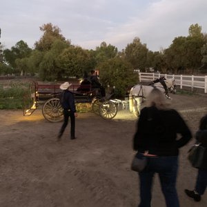 TEMECULA CARRIAGE COMPANY - 306 Photos & 220 Reviews - Temecula ...