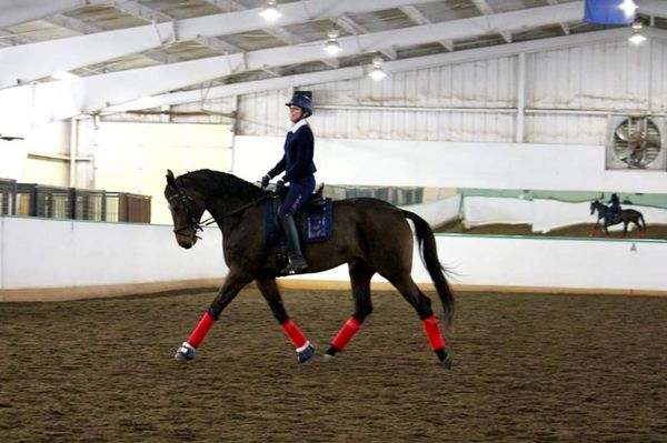 VALLEY VIEW EQUESTRIAN CENTER - Updated December 2025 - 5417 York Rd ...