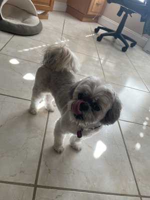 BAY PAWS PET RESORT - Updated October 2025 - 40 Photos & 50 Reviews ...