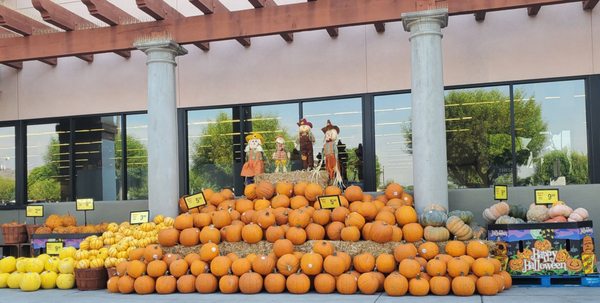 ALBERTSONS - Updated December 2025 - 61 Photos & 110 Reviews - 4550 E ...