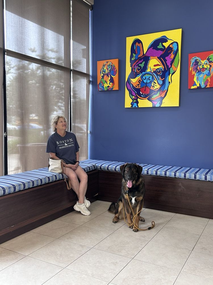 BINGLE VET KATY - Updated January 2026 - 45 Photos & 53 Reviews - 5215 ...