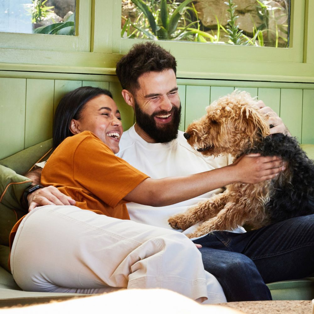 SPOT PET INSURANCE - Updated July 2025 - 23 Photos & 96 Reviews - 990 ...