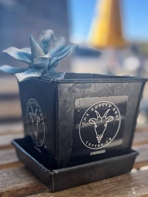 THE BUZZED GOAT - Updated December 2025 - 257 Photos & 208 Reviews ...