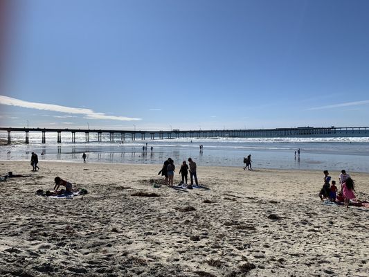 OCEAN BEACH BOARDWALK - 186 Photos & 25 Reviews - 1950 Abbott St, San ...