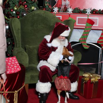 VALLEY PLAZA - Updated October 2025 - 82 Photos & 123 Reviews - 2701 ...