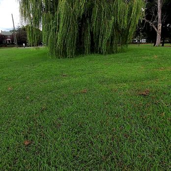 BYRD PARK - Updated December 2025 - 75 Photos & 38 Reviews - 600 S Blvd ...