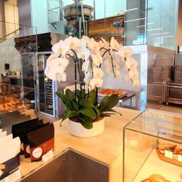 SMALL VICTORY BAKERY - Updated December 2025 - 47 Photos - 388 W 6th ...