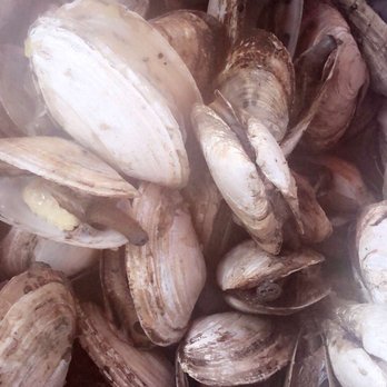 GARDNER’S WHARF SEAFOOD - Updated July 2025 - 98 Photos & 70 Reviews ...