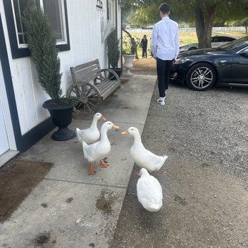 HAWK RANCH - Updated December 2025 - 137 Photos & 38 Reviews - 42149 ...