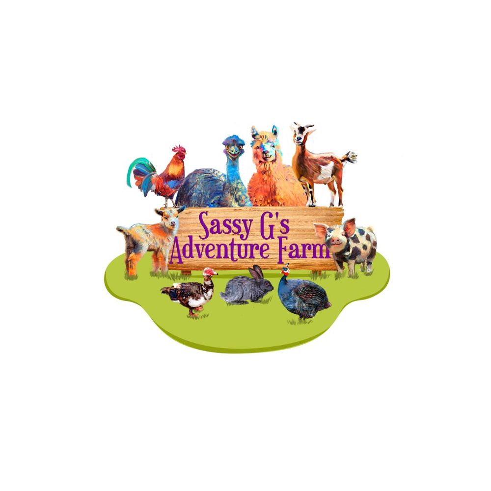 SASSY G’S ADVENTURE FARM - Updated July 2024 - 10 Photos - 51009C Range ...