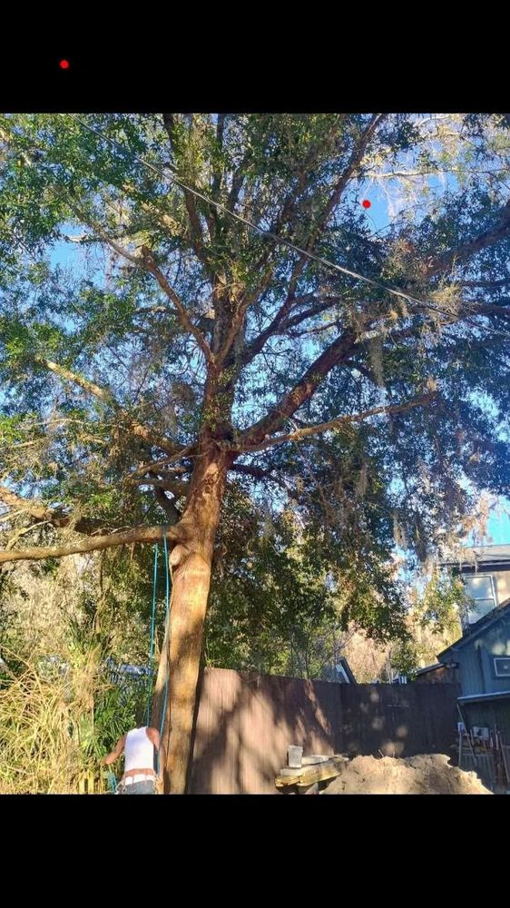 GREENS HANDYMAN SERVICE - Updated June 2025 - Request a Quote - 1221 Calico Ct, Orange Park ...