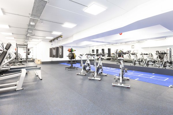 THE MILL GYM AND STUDIO - Updated December 2024 - Request Information ...