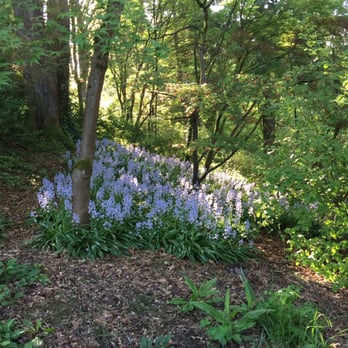 RAVENNA PARK - Updated May 2024 - 119 Photos & 43 Reviews - 5520 ...