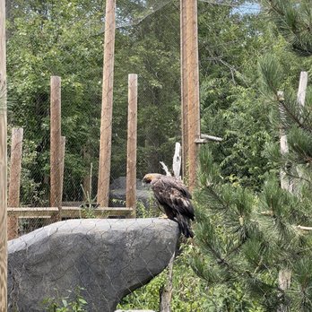 ZOO ECOMUSEUM - Updated October 2025 - 98 Photos & 25 Reviews - 21125 ...