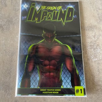 IMPOUND COMICS STORE - Updated December 2025 - 25 Photos & 14 Reviews ...
