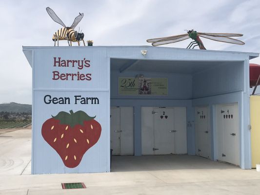 HARRY’S BERRIES - Updated December 2025 - 18 Photos & 27 Reviews - 5777 ...