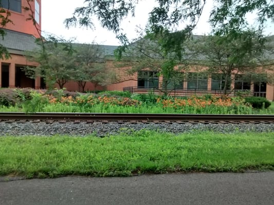 CLARK COUNTY PUBLIC LIBRARY - Updated December 2025 - 201 S Fountain ...