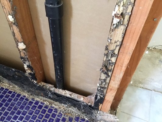 PACIFIC COAST TERMITE - Updated August 2024 - 32 Photos & 241 Reviews ...