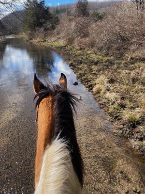 MUSTANG MEADOW - Updated November 2025 - 10 Photos - 571 Quaker Farms ...