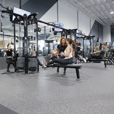 CURL FITNESS WESTMINSTER - Updated October 2025 - 142 Photos & 67 ...