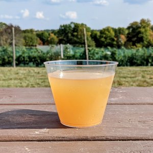 ROBIBERO FAMILY VINEYARDS - 243 Photos & 206 Reviews - 714 Albany Post ...