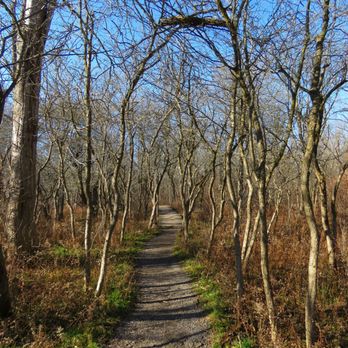 STIGLMEIER PARK - Updated August 2024 - 176 Photos & 36 Reviews - 500 ...