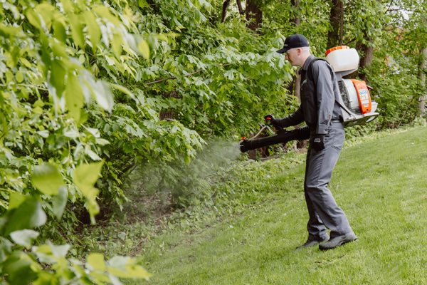 SPIDEXX PEST CONTROL - Updated January 2026 - 14 Photos & 17 Reviews ...